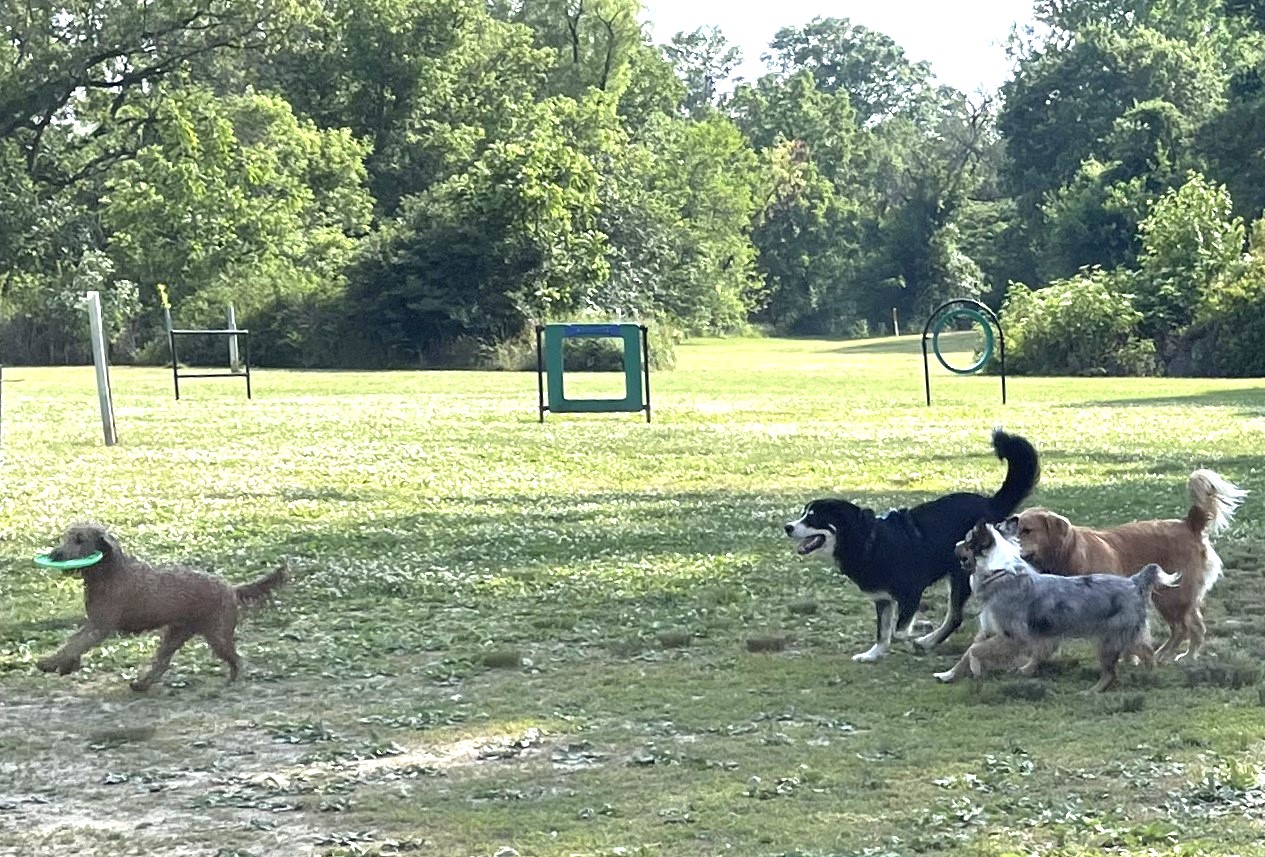 June 2023 – Raising Gracie