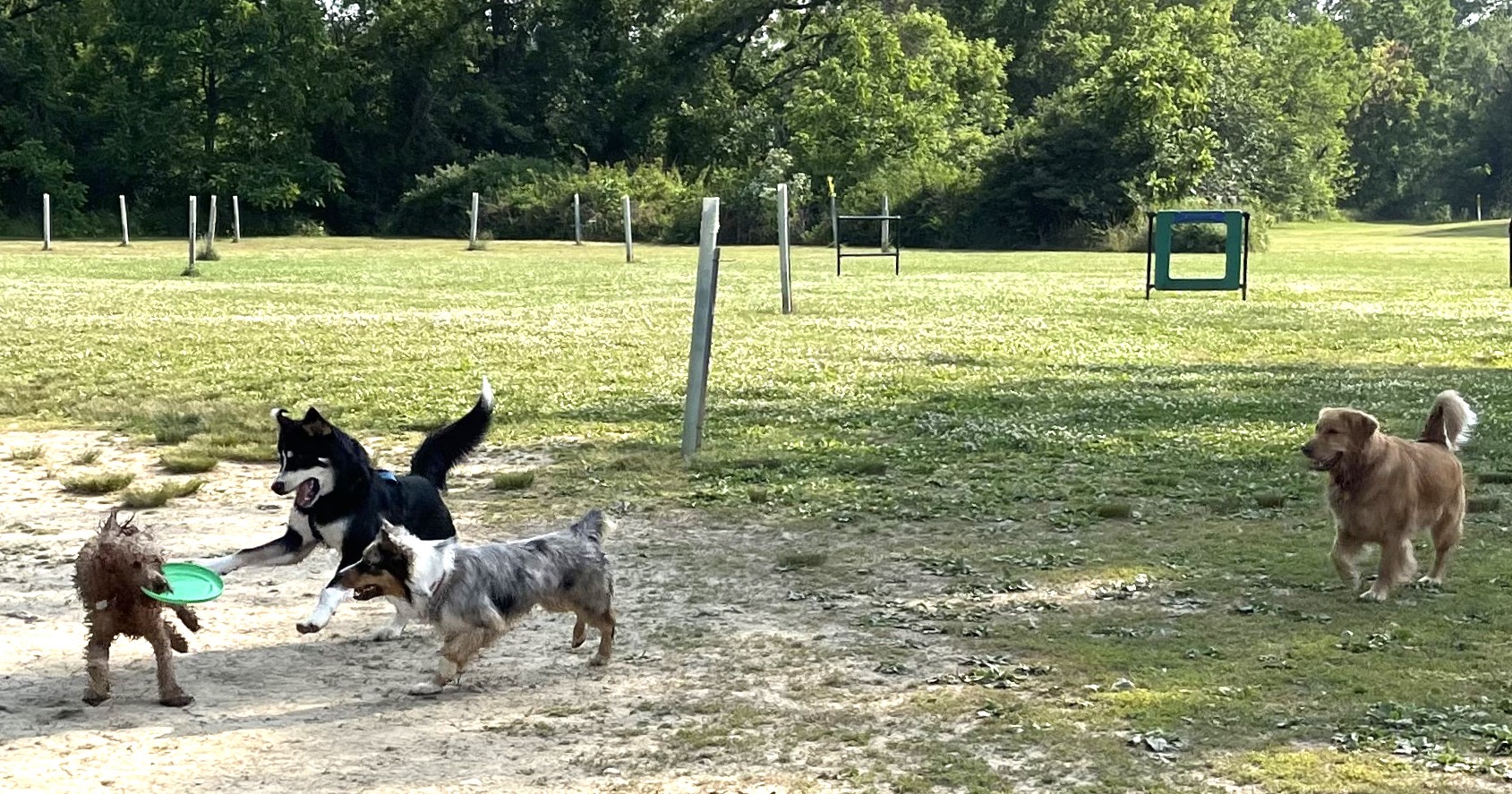 June 2023 – Raising Gracie