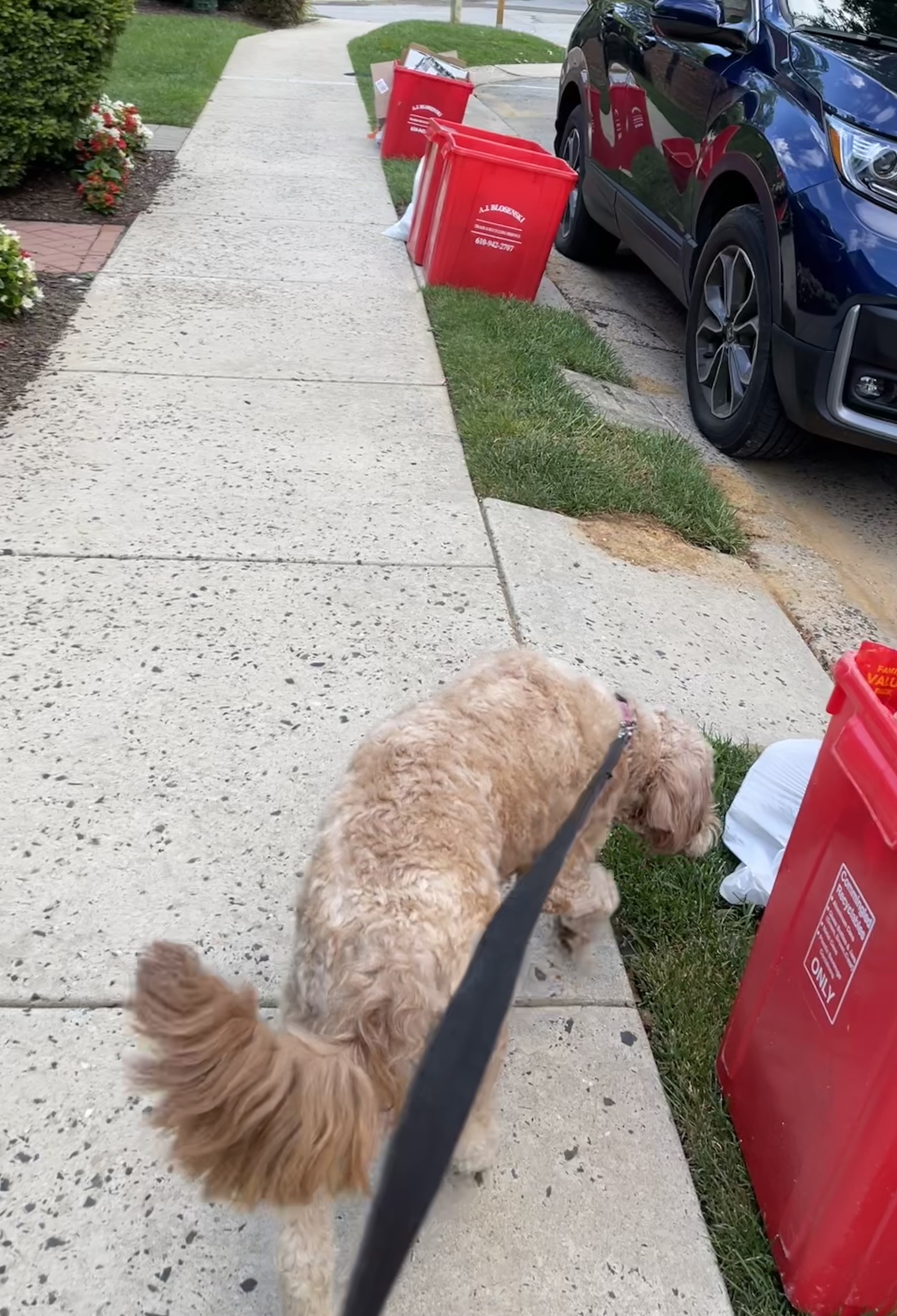 August 2023 – Raising Gracie