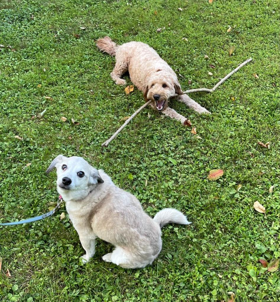 August 2023 – Raising Gracie