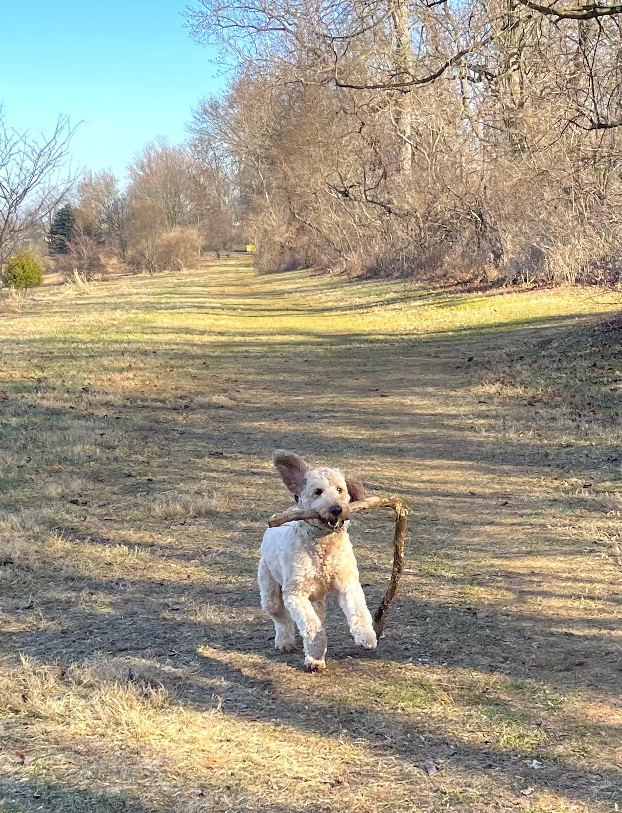 Gracie Update – January 13, 2024 – Raising Gracie