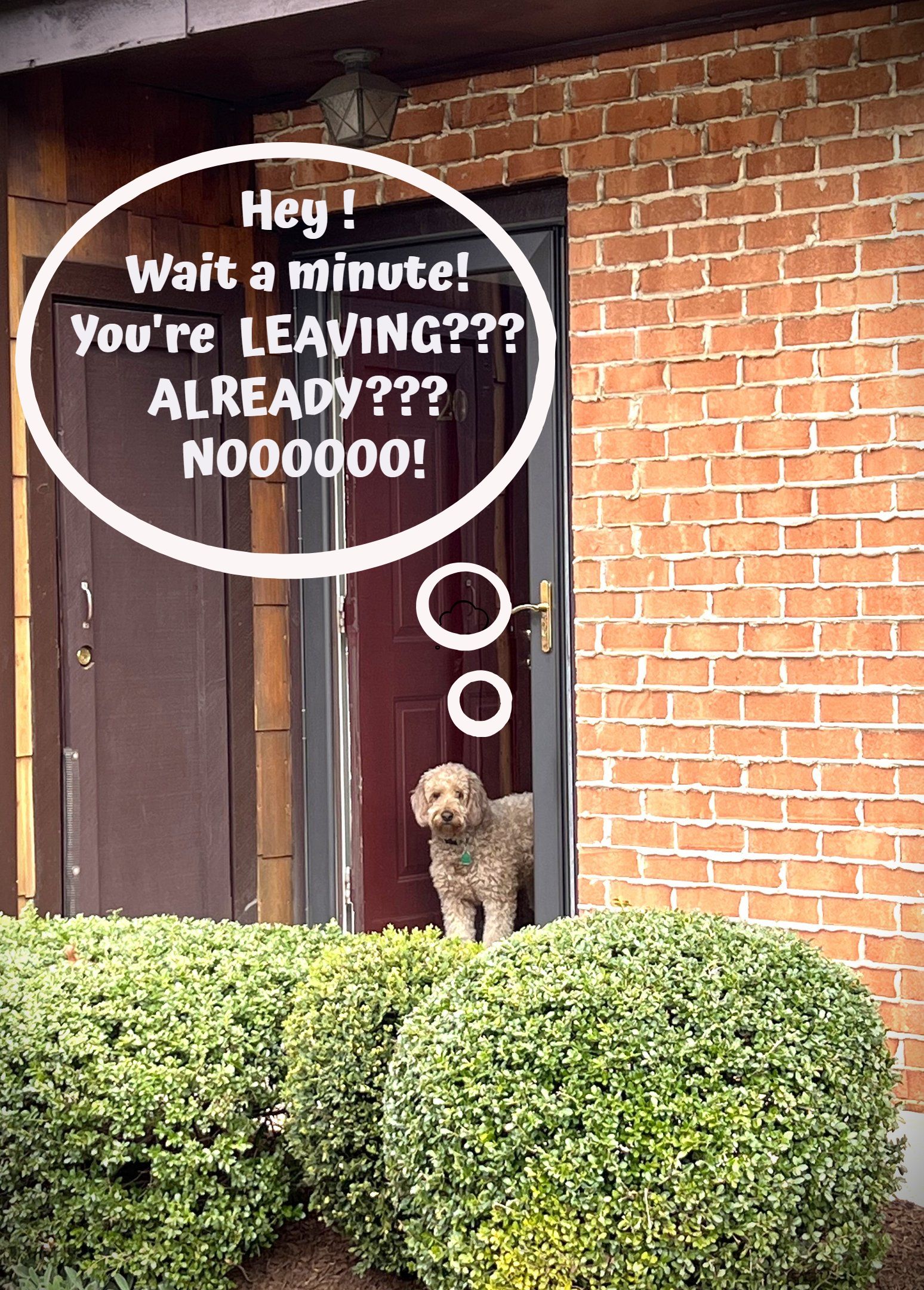 Raising Gracie – The adventures and mishaps of rearing a rambunctious ...